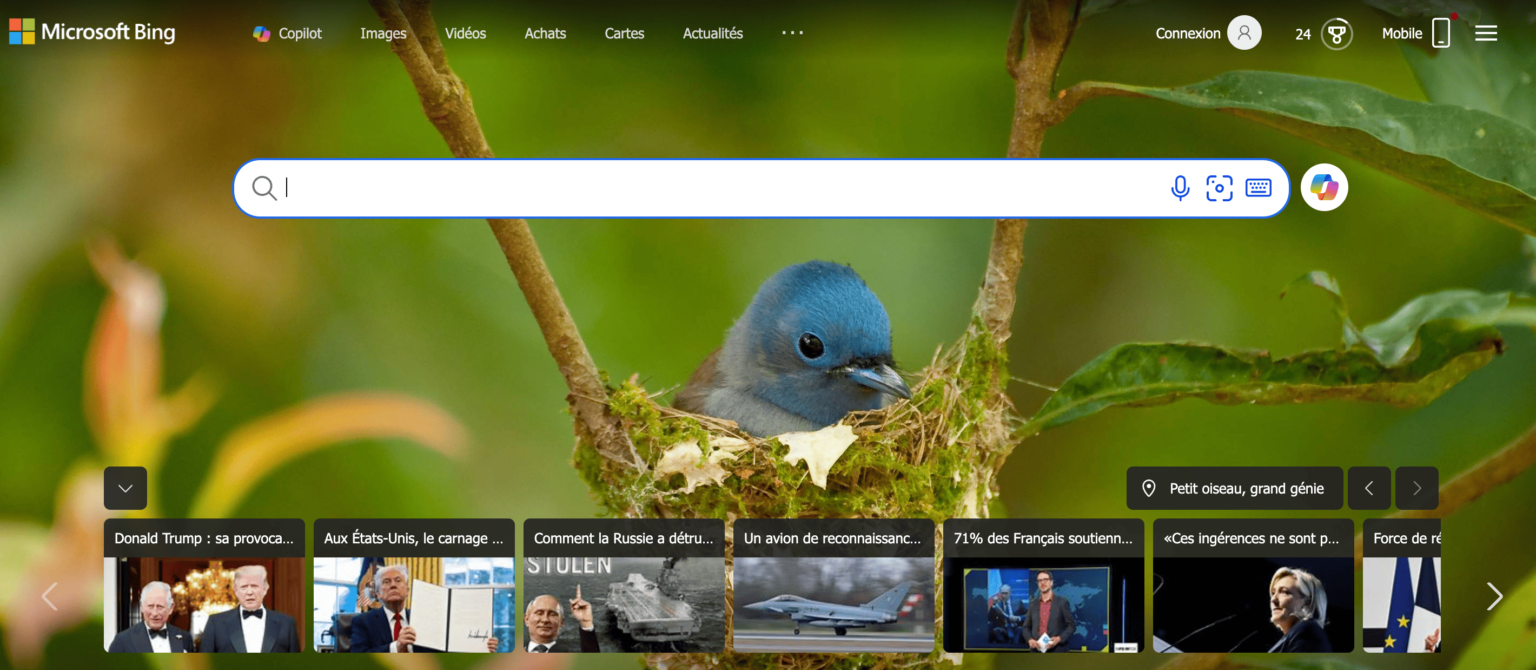 16 alternatives à Google gratuites - À la SEOupe